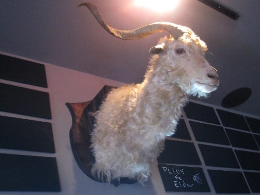 The Surly Goat Primer - Food GPS