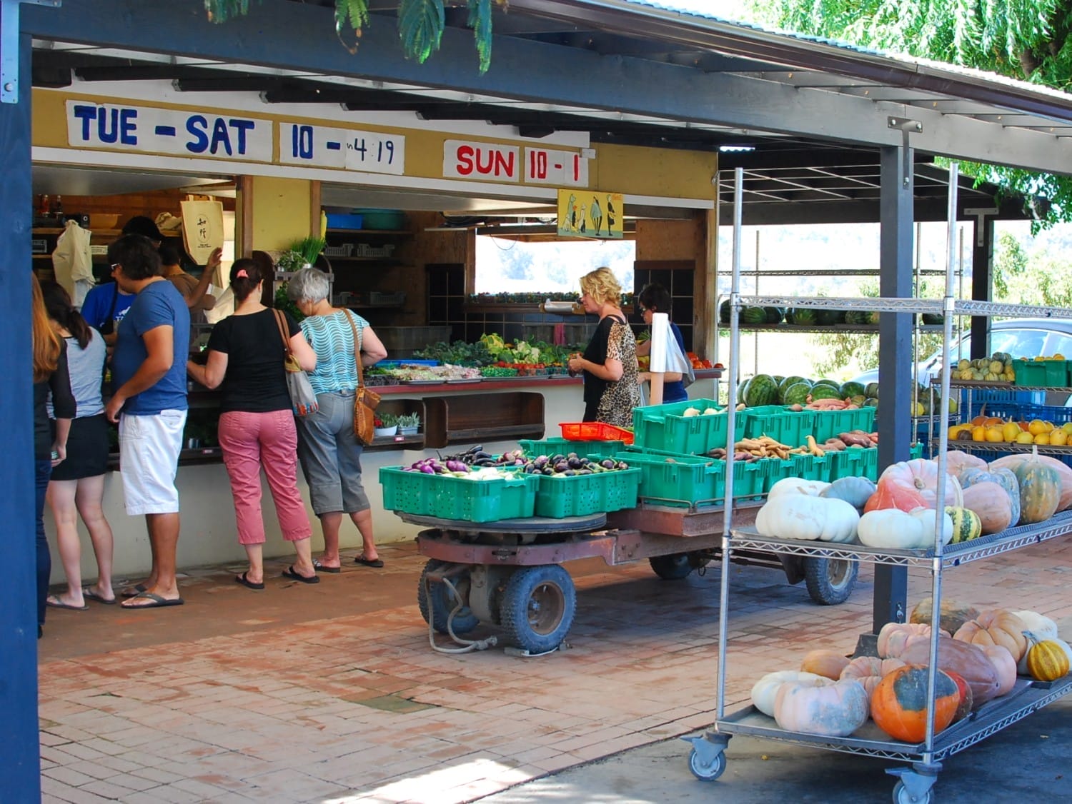 Chino Farm: Producing Flavor and Flair in Rancho Santa Fe - Food GPS