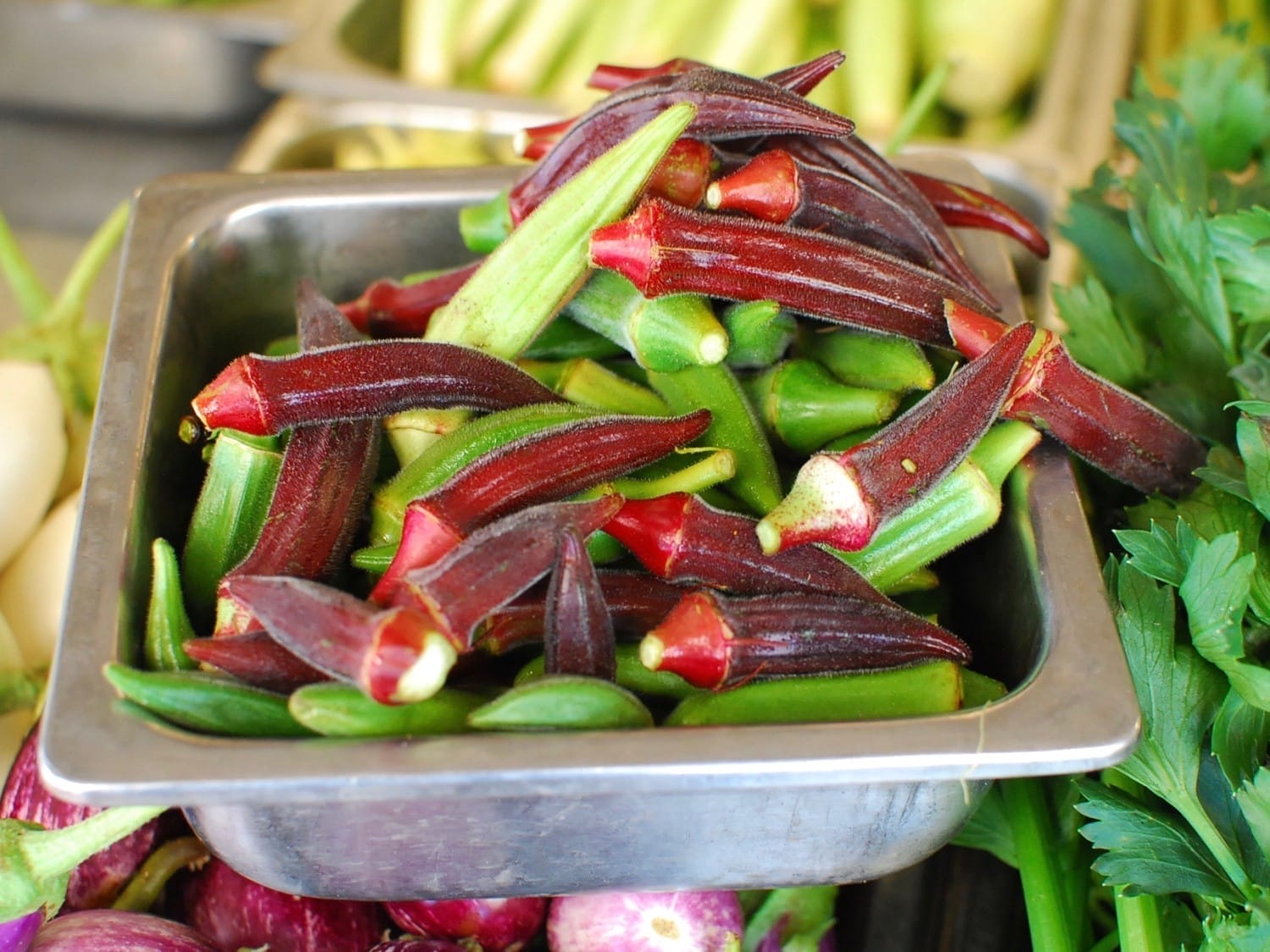 Chino Farm: Producing Flavor and Flair in Rancho Santa Fe - Food GPS