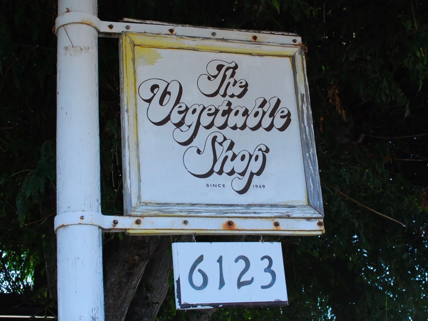 Chino Farm: Producing Flavor and Flair in Rancho Santa Fe - Food GPS